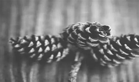 Javascript 기초 간단한 계산기 만들기 몬레타 Javascript 기초 간단한 계산기 만들기 몬레타