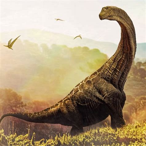 Age Of Dinosaurs Mini Museum