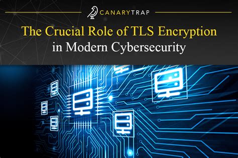 The Crucial Role Of TLS Encryption In Modern Cybersecurity Canary Trap