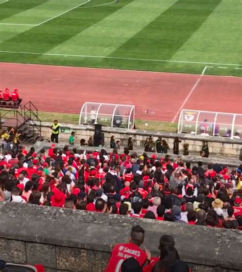 Ovação dos adeptos do Sport Lisboa e Benfica à equipa de futebol