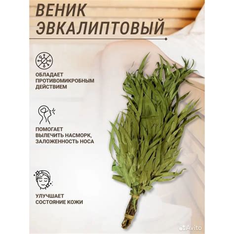 Купить Веник из эвкалипта. по цене 207₽ из Банные веники в интернет ...