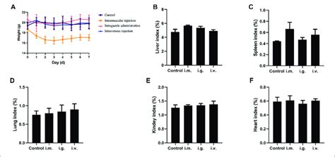 A Body Weight Curve Of Mice B F Organ Indexes Of Tissues From