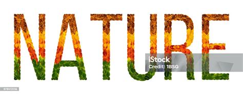 로 작성 된 단어 자연 화이트 고립 된 배경 색의 인쇄 하 고 창조적인 그림에 대 한 배너 단풍 나뭇잎 0명에 대한 스톡 사진 및 기타 이미지 Istock