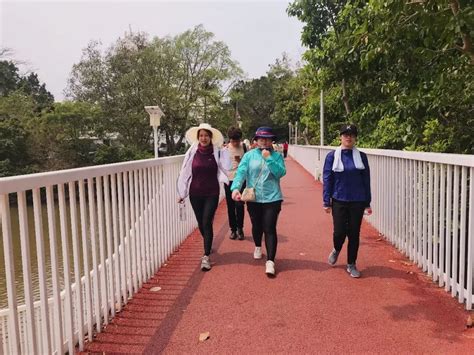 体验攻略 深圳马峦山大岭古线17km徒步