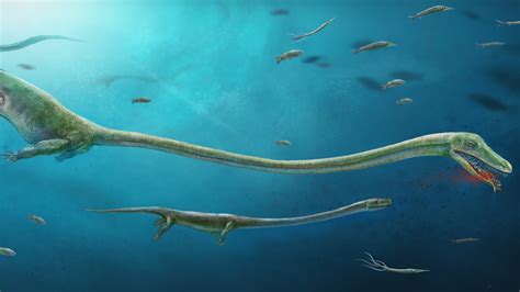 This Fossilized Pregnant Reptile Missed Her Due Date By 240 Million