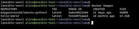 How To Test Ansible Roles With Molecule And Docker