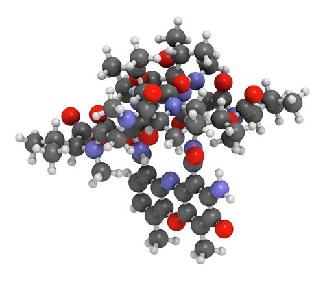 Dactinomycin Cancer Drug Molecule Photograph By Molekuul Pixels