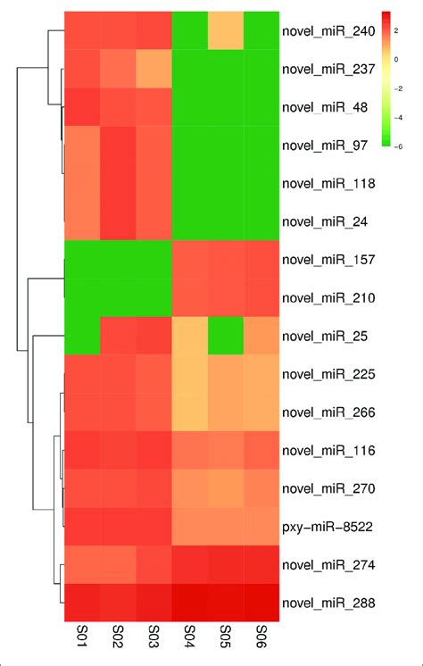 Cluster Analysis Diagram Showing The Differentially Expressed Mirnas Download Scientific