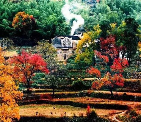 中國黃山國際鄉村攝影節11月10日又要開始啦 每日頭條