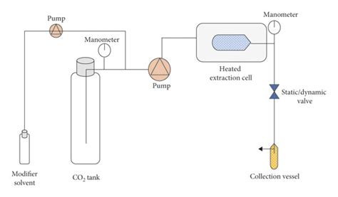 Environmentally Friendly Methods For Flavonoid Extraction From Plant Material Impact Of Their