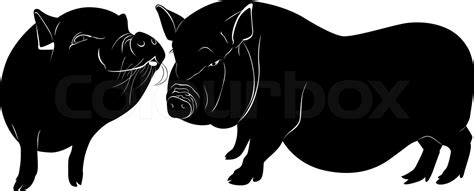 Schwein Stock Vektor Colourbox