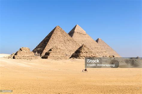 이집트 피라미드 앞에서 낙타 캐러밴이 걷는 기자의 위대한 피라미드 단지기자카이로이집트 피라미드 건축물에 대한 스톡 사진 및 기타 이미지 피라미드 건축물 피라미드 기하