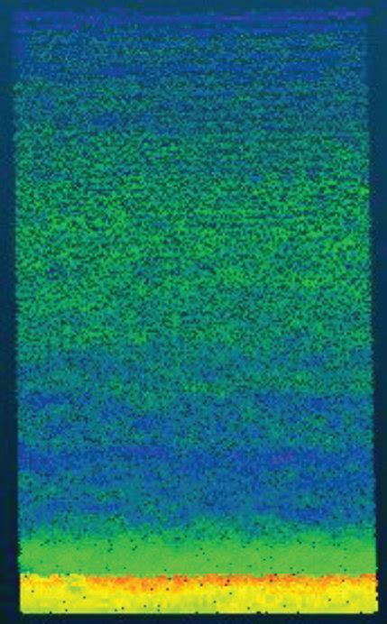 The Intensity 2d Pseudocolor Map And Intensity Distribution Histogram