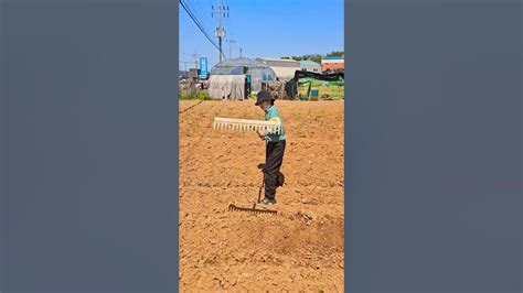 고랑만들기 텃밭 주말농장 Youtube