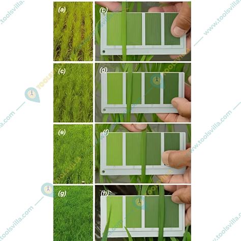 nitrogen parameter leaf color chart pack of 25