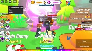 Pet Racer Simulator Script Roblox Tora Gui Cheater Ninja