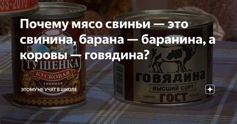 Почему мясо свиньи — это свинина барана — баранина а коровы — говядина Александр Долгих Дзен