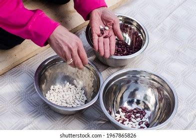 Sorting Beans Images Stock Photos D Objects Vectors Shutterstock