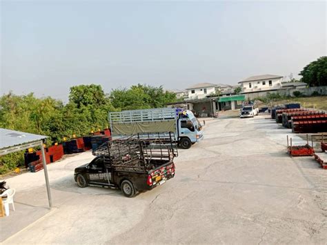 แบ แบบเหล็ก นั่งร้านเหล็ก แบบเทคาน ให้เช่าราคาถูก By Ploy