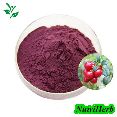 Nutriherb Supply Organic Bilberry Fruit Extract Bilberry Extract Anthocyanins Bilberry