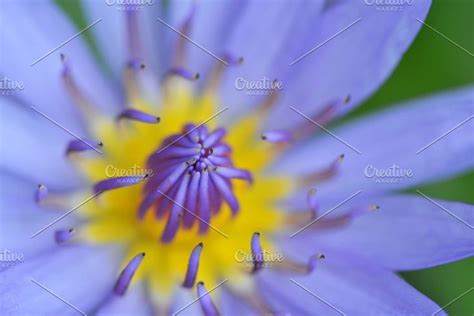 Distance Arrows Floral Design