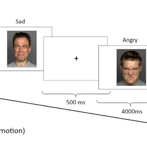 Emotion Recognition Task Three Different Versions Were Performed In Download Scientific