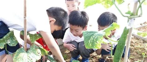 双减进行时 云健小学灵济校区轻负优课助双减快乐加倍绽笑颜 劳动