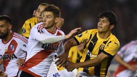 De Cosechar Mandioca Al Campeón De La Libertadores La Historia De