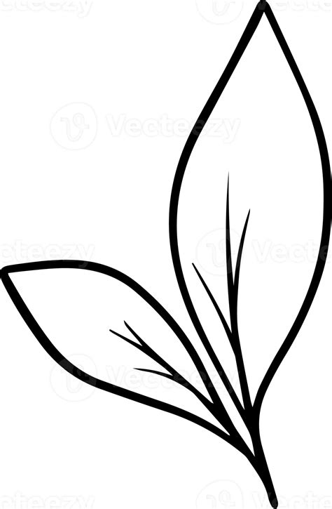 Leaves Line Art Illustration 10863651 Png