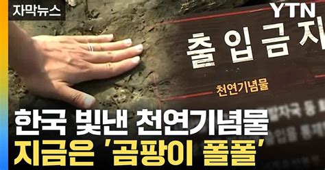 자막뉴스 아시아 최초라더니 지금은 찬밥 신세 된 희귀 화석