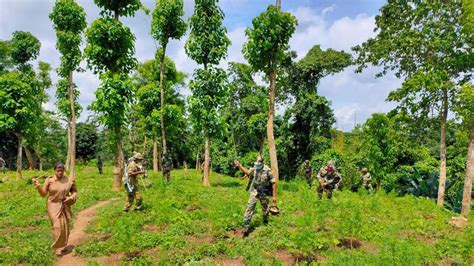 Bsf Recovers Drone Near Pakistan Border In Punjabs Tarn Taran Eighth