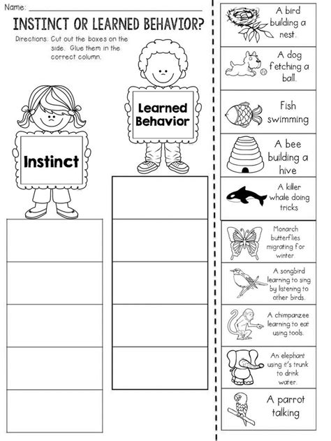 3rd Grade Science Traits Worksheet
