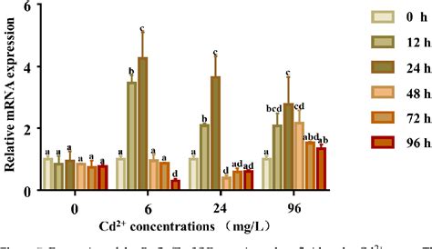 Figure 7 From Characterization Of Copperzinc Superoxide Dismutase