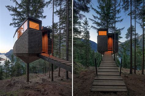 This Treehouse Built Around A Live Pine Tree Reimagines Your Idea Of Architectural Escapism