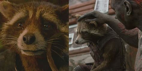 10 Quotes That Prove Rocket Raccoon Is The Saddest Guardian Of The Galaxy