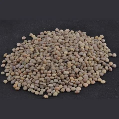 Dried Black Cluster Bean Seeds For Vegetables Packaging Type Loose