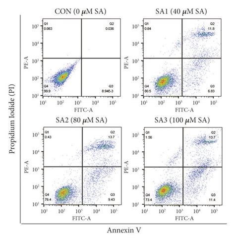 Sa Induced The Apoptosis In Chondrosarcoma Cell A The Apoptotic