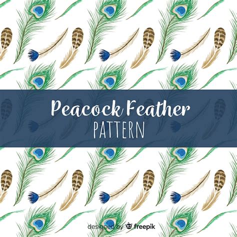 Premium Vector Beautiful Peacock Feather Pattern Design