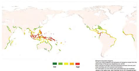 1 Global Mangrove Distribution And Predicted Vegetation Biomass Download Scientific Diagram