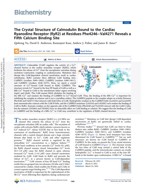 The Crystal Structure Of Calmodulin Bound To The Docslib