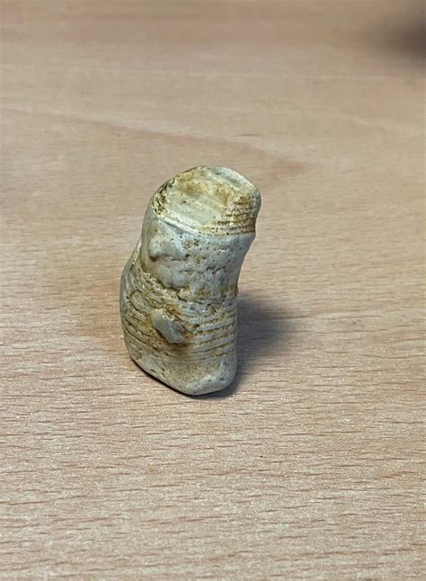 Help Pls Is This A Fossil Found In Flint Containing Gravel I Dont Usually Have Trouble