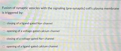 Solved Fusion Of Synaptic Vesicles With The Signaling Chegg