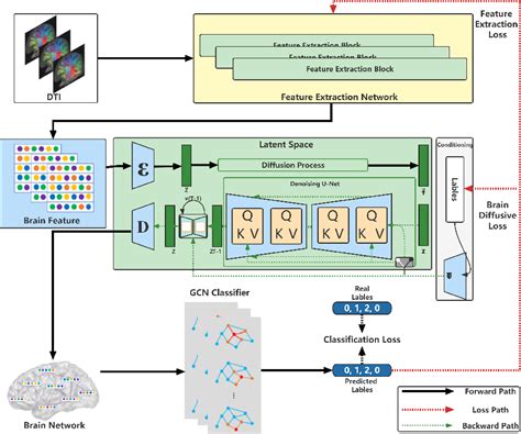 brain diffuser an end to end brain image to brain network pipeline