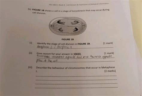 PKA S8015 Week 4 Cell Division Erpression Of StudyX