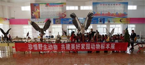 珍惜野生动物共建美好家园 塔里木大学