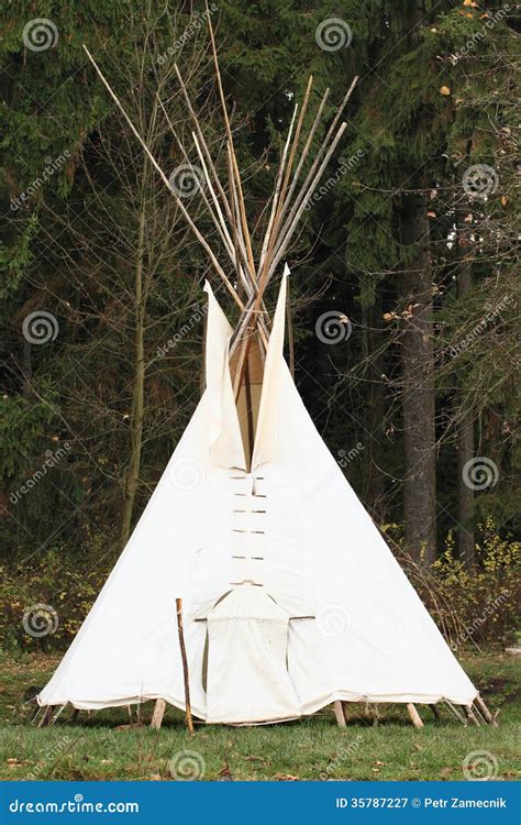 Tee Pee Stock Image Image Of Grass White Trees Wood 35787227