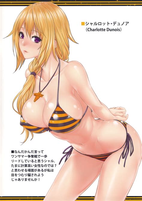 Charlotte Dunois Infinite Stratos Drawn By Zucchini Danbooru