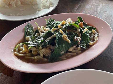 หอยหลอดผัดโหระพา ร้าน ริมเขื่อน มินิ สมุทรสงคราม แม่กลอง