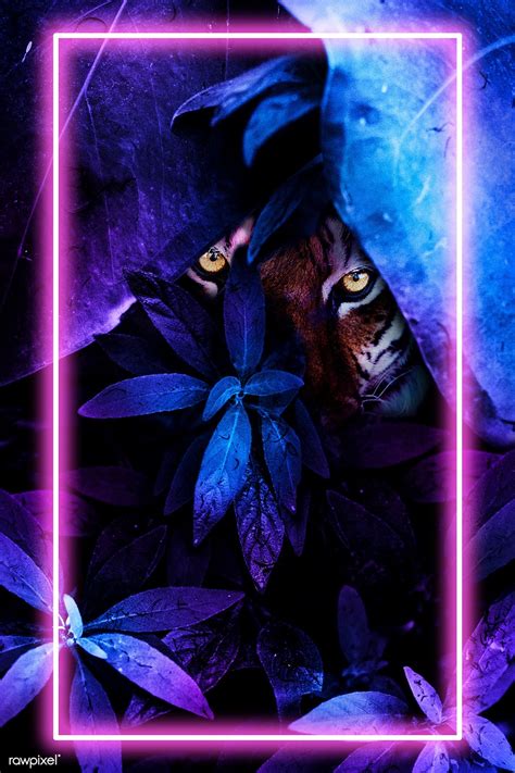 19 Best Dj Background Ideas Poster Background Design Background