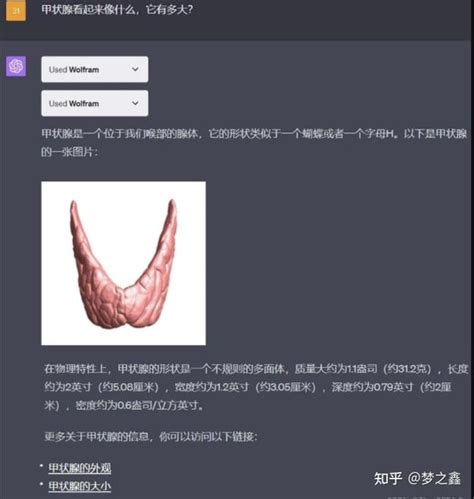 让chatgpt4 0更惊艳的5个插件！（针对中国区用户） 知乎